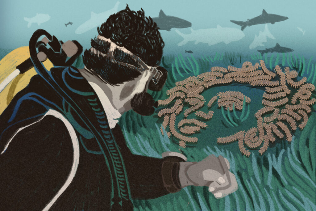 How Marine Worms Help Us Understand Diversity Along the Brazilian Coast ...
